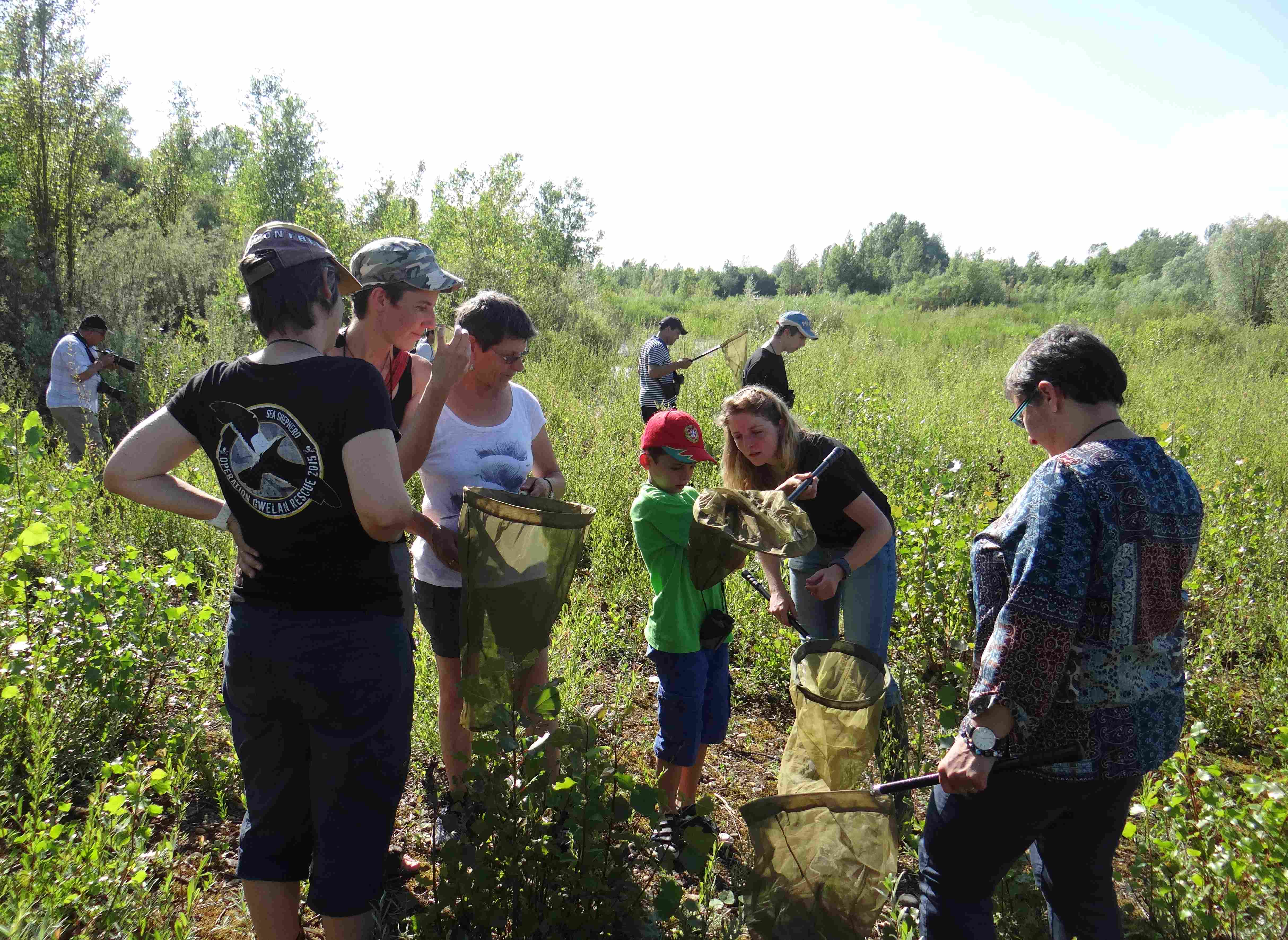 Animations grand public - CPIE - Formation environnement dans le Jura